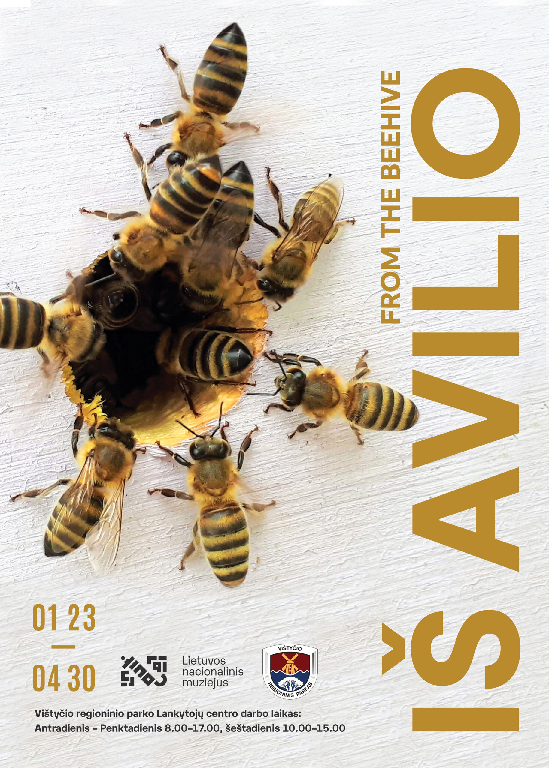 Avilys – plakatasA3_Vistytis – Vištyčio regioninis parkas